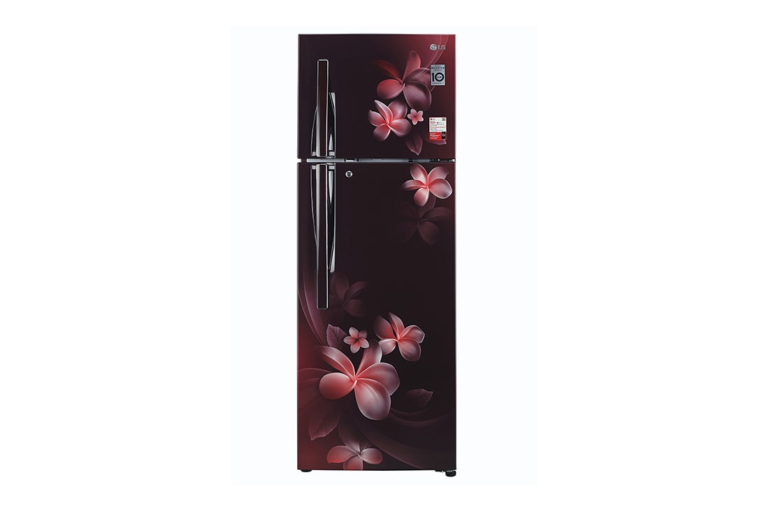 LG 308 L Convertible Double Door Refrigerator with Smart Inverter Comp ...